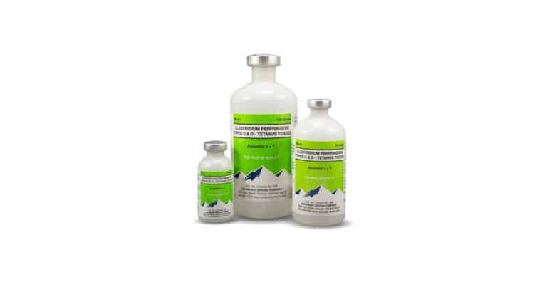 CDT Vaccine for Sheep (Essential 3+T Review) - RaisingSheep.net
