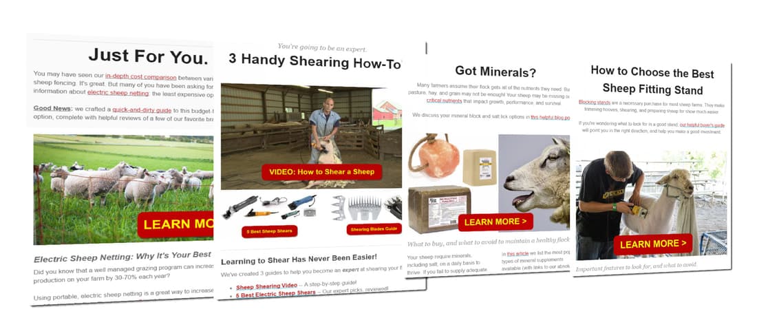 Newsletter Sign Up | Join Our Mailing List! - RaisingSheep.net