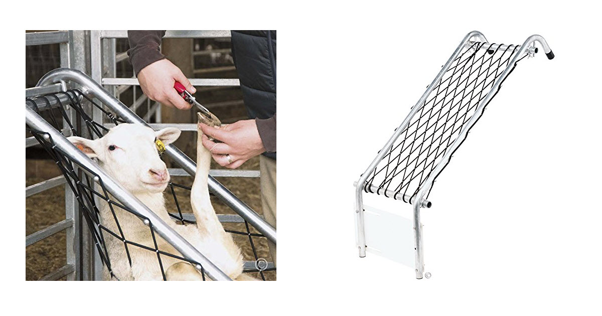 Sheep Chair Review (Premier1 Sheep Tipping Chair) - RaisingSheep.net