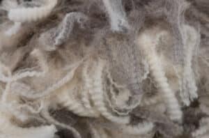 What to Do With Sheep Wool after Shearing? - RaisingSheep.net