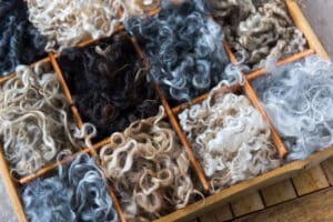 What to Do With Sheep Wool after Shearing? - RaisingSheep.net