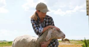 Sheep Wormer Guide (medications, dosage, schedule & more)