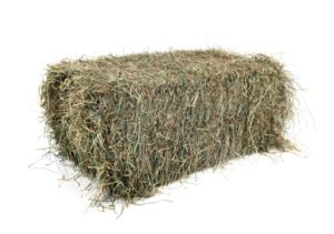 Hay vs Straw Comparison (key differences & how to tell them apart)
