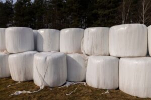 Haylage vs Hay Comparison (what are the differences?)