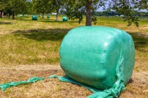 Haylage vs Silage Comparison (key differences explained)
